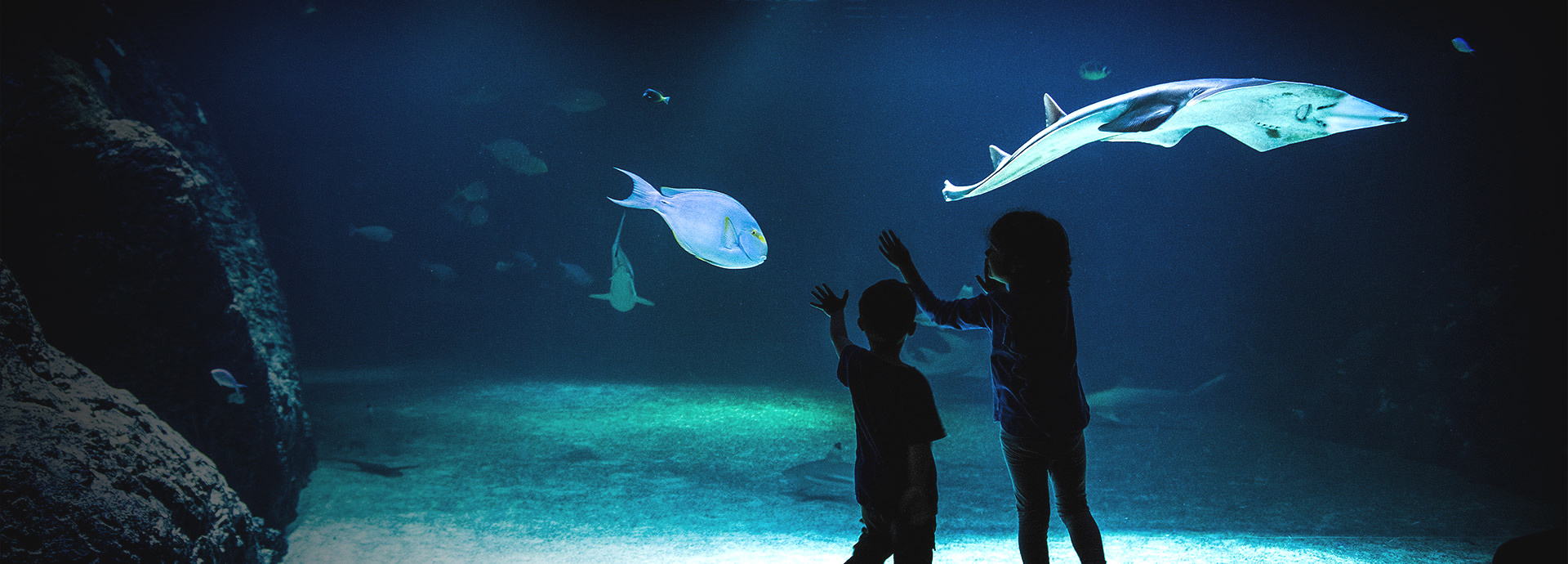 Universeum Pris Hotels With Parking Garage In Gothenburg | Book Your